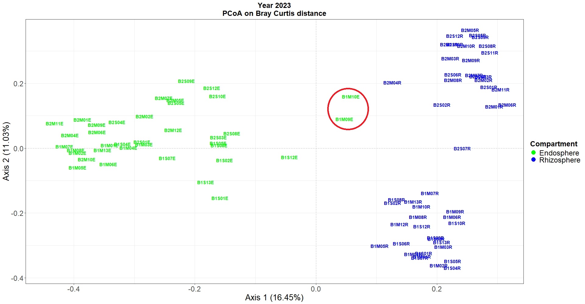 Banana - Ecological analyses of fungal dataset